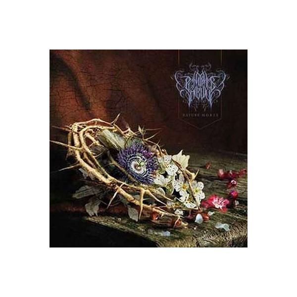 【発売日：2023年11月20日】ご注文後のキャンセル・返品は承れません。発売日:2023年11月20日/商品ID:6215364/ジャンル:ROCK/POP/フォーマット:CD/構成数:1/レーベル:Ladlo Productions/ア...