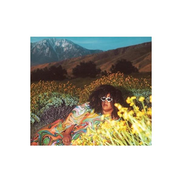 【発売日：2024年02月09日】ご注文後のキャンセル・返品は承れません。発売日:2024年02月09日/商品ID:6232508/ジャンル:ROCK/POP/フォーマット:LP/構成数:1/レーベル:Island/アーティスト:Britt...