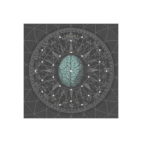 【発売日：2024年02月09日】ご注文後のキャンセル・返品は承れません。発売日:2024年02月09日/商品ID:6233820/ジャンル:ROCK/POP/フォーマット:LP/構成数:1/レーベル:Pelagic Records/アーテ...