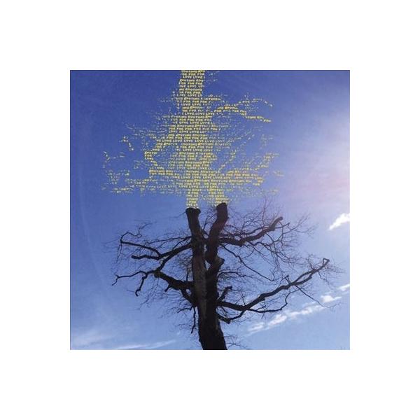 【発売日：2024年02月23日】ご注文後のキャンセル・返品は承れません。発売日:2024年02月23日/商品ID:6235099/ジャンル:ROCK/POP/フォーマット:LP/構成数:1/レーベル:Duophonic/アーティスト:La...