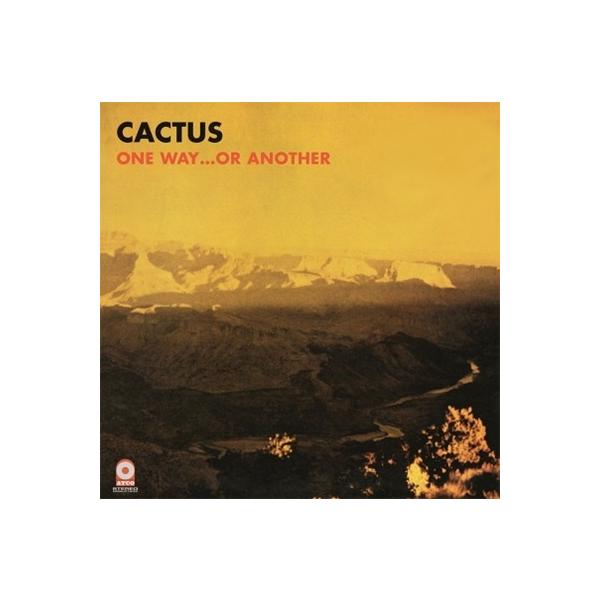 【発売日：2024年02月02日】ご注文後のキャンセル・返品は承れません。発売日:2024年02月02日/商品ID:6245701/ジャンル:ROCK/POP/フォーマット:LP/構成数:1/レーベル:Music On Vinyl/アーティ...