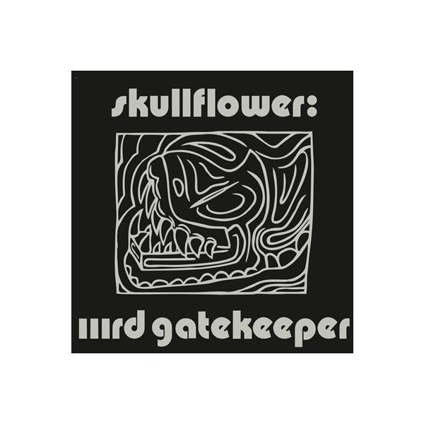 【発売日：2024年01月19日】ご注文後のキャンセル・返品は承れません。発売日:2024年01月19日/商品ID:6251236/ジャンル:ROCK/POP/フォーマット:LP/構成数:2/レーベル:Dirter Promotions/ア...