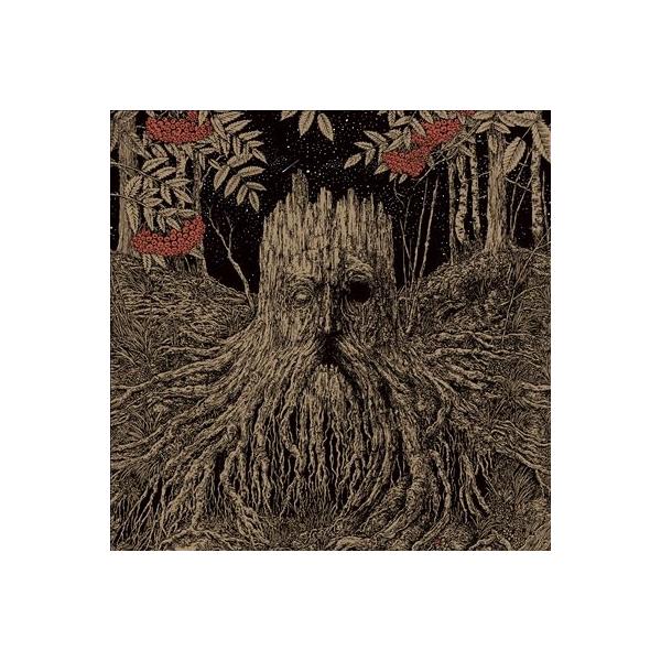 【発売日：2024年02月02日】ご注文後のキャンセル・返品は承れません。発売日:2024年02月02日/商品ID:6252683/ジャンル:ROCK/POP/フォーマット:CD/構成数:1/レーベル:Avantgarde Music/アー...