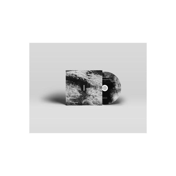 【発売日：2024年01月31日】ご注文後のキャンセル・返品は承れません。発売日:2024年01月下旬/商品ID:6255420/ジャンル:ROCK/POP/フォーマット:CD/構成数:1/レーベル:Iikki/アーティスト:Seabuck...