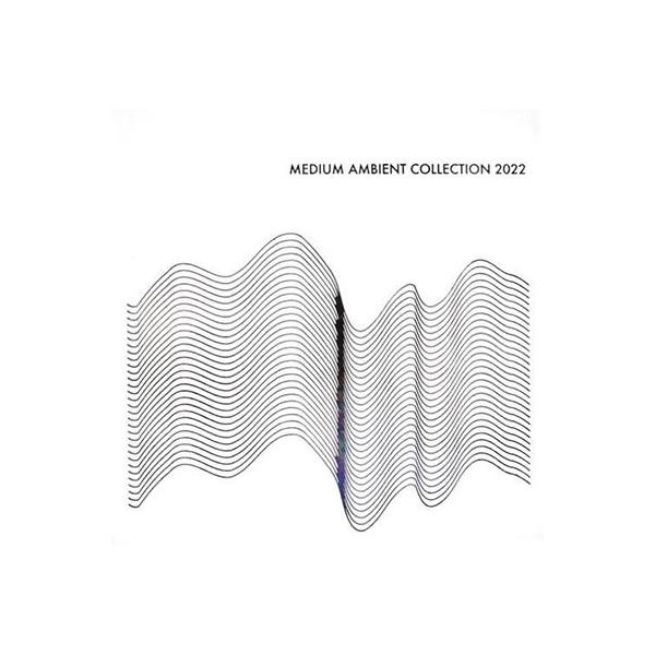 【発売日：2024年03月20日】ご注文後のキャンセル・返品は承れません。発売日:2024年03月20日/商品ID:6258788/ジャンル:JAZZ/フォーマット:LP/構成数:2/レーベル:astrollage / medium/アーテ...