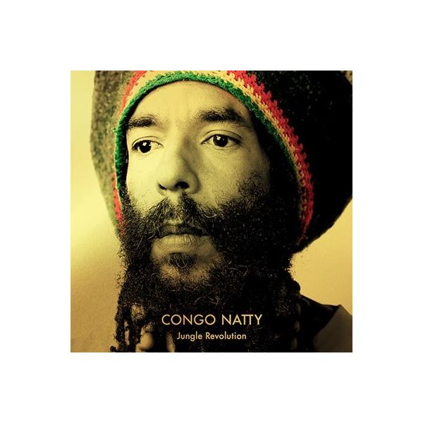 【発売日：2024年02月23日】ご注文後のキャンセル・返品は承れません。発売日:2024年02月23日/商品ID:6260984/ジャンル:SOUL/CLUB/RAP/フォーマット:LP/構成数:2/レーベル:Big Dada/アーティス...