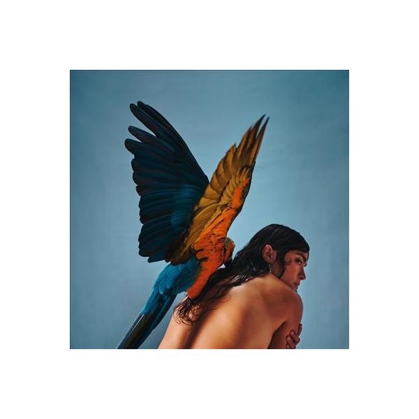 【発売日：2023年04月12日】ご注文後のキャンセル・返品は承れません。発売日:2023年04月12日/商品ID:6273558/ジャンル:WORLD/REGGAE/フォーマット:LP/構成数:1/レーベル:Psychic Hotline...