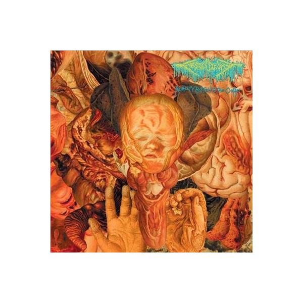 【発売日：2024年08月03日】ご注文後のキャンセル・返品は承れません。発売日:2024年08月03日/商品ID:6277590/ジャンル:ROCK/POP/フォーマット:LP/構成数:1/レーベル:Everlasting Spew Re...