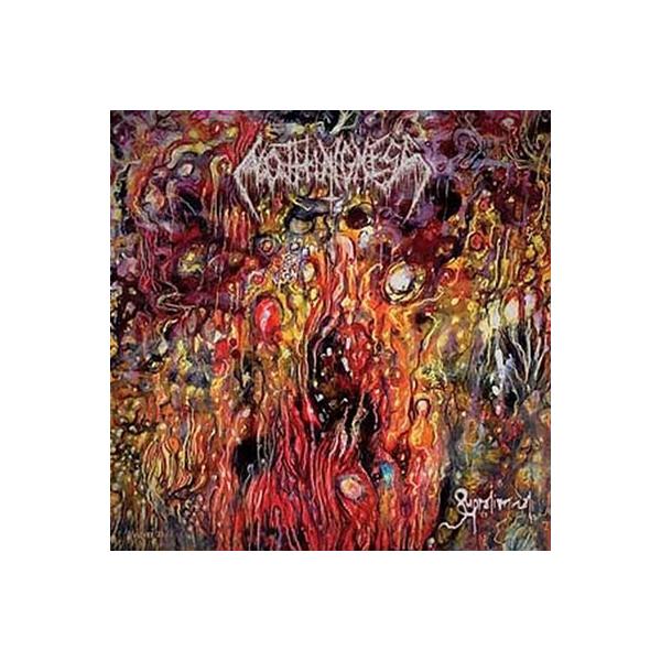 【発売日：2024年03月08日】ご注文後のキャンセル・返品は承れません。OLS50※こちらはアウトレットセール商品となります。パッケージ等に破損などダメージがある場合がございますが、外装不良による交換、返品はできかねますので予めご了承くだ...