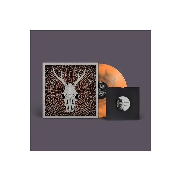 【発売日：2024年04月20日】ご注文後のキャンセル・返品は承れません。発売日:2024年04月20日/商品ID:6286846/ジャンル:ROCK/POP/フォーマット:LP/構成数:2/レーベル:Rocket Recordings/ア...