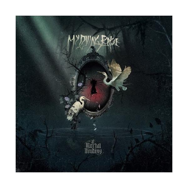 【発売日：2024年04月19日】ご注文後のキャンセル・返品は承れません。発売日:2024年04月19日/商品ID:6286862/ジャンル:ROCK/POP/フォーマット:CD/構成数:1/レーベル:ワードレコーズ/アーティスト:My D...