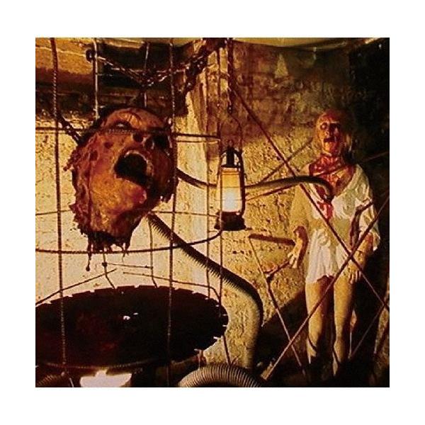 【発売日：2024年03月13日】ご注文後のキャンセル・返品は承れません。発売日:2024年03月13日/商品ID:6288692/ジャンル:ROCK/POP/フォーマット:CD/構成数:1/レーベル:Zero Dimensional Re...