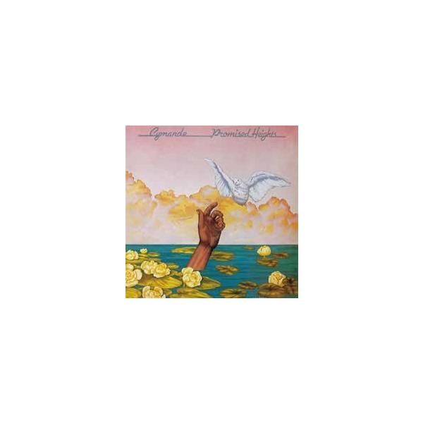 【発売日：2024年05月17日】ご注文後のキャンセル・返品は承れません。発売日:2024年05月17日/商品ID:6290446/ジャンル:SOUL/CLUB/RAP/フォーマット:LP/構成数:1/レーベル:Partisan Recor...