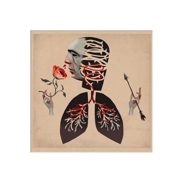 【発売日：2024年05月10日】ご注文後のキャンセル・返品は承れません。発売日:2024年05月10日/商品ID:6293650/ジャンル:ROCK/POP/フォーマット:CD/構成数:1/レーベル:Equal Vision/アーティスト...