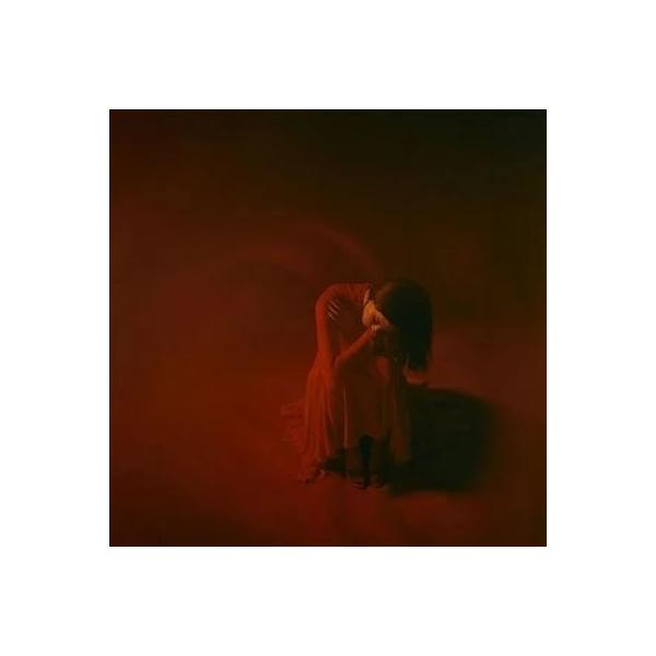 【発売日：2024年05月24日】ご注文後のキャンセル・返品は承れません。発売日:2024年05月24日/商品ID:6304771/ジャンル:ROCK/POP/フォーマット:LP/構成数:1/レーベル:Akira Records/アーティス...