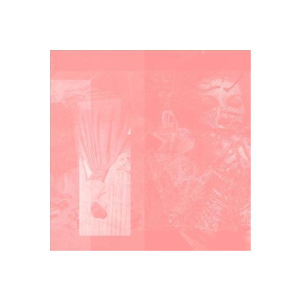 【発売日：2024年04月12日】ご注文後のキャンセル・返品は承れません。発売日:2024年04月12日/商品ID:6324796/ジャンル:JAZZ/フォーマット:CD/構成数:1/レーベル:Room40/アーティスト:Pinkcourt...