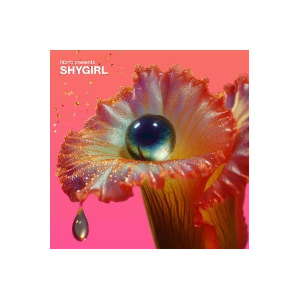 【発売日：2024年10月01日】ご注文後のキャンセル・返品は承れません。発売日:2024年10月01日/商品ID:6326354/ジャンル:SOUL/CLUB/RAP/フォーマット:CD/構成数:1/レーベル:Fabric Records...