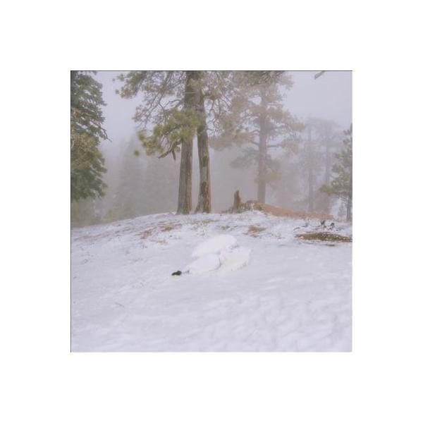 【発売日：2024年05月03日】ご注文後のキャンセル・返品は承れません。発売日:2024年05月03日/商品ID:6331175/ジャンル:ROCK/POP/フォーマット:CD/構成数:1/レーベル:Interscope Records/...