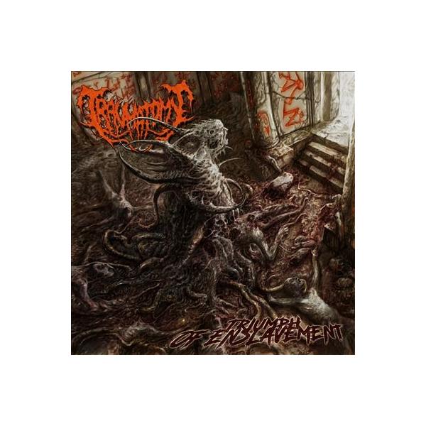 【発売日：2024年08月16日】ご注文後のキャンセル・返品は承れません。発売日:2024年08月16日/商品ID:6335987/ジャンル:ROCK/POP/フォーマット:CD/構成数:1/レーベル:Gore House Producti...