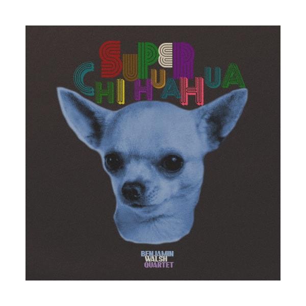 【発売日：2024年05月25日】ご注文後のキャンセル・返品は承れません。発売日:2024年05月25日/商品ID:6338377/ジャンル:SOUL/CLUB/RAP/フォーマット:7inch Single/構成数:1/レーベル:Hydr...