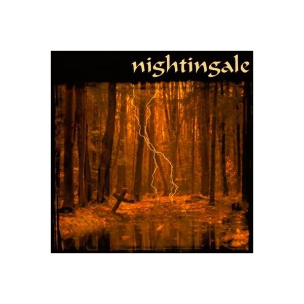 【発売日：2024年08月23日】ご注文後のキャンセル・返品は承れません。発売日:2024年08月23日/商品ID:6348193/ジャンル:ROCK/POP/フォーマット:CD/構成数:2/レーベル:Inside Out/アーティスト:N...