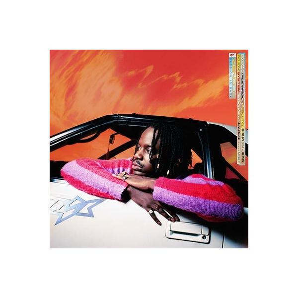 【発売日：2024年07月12日】ご注文後のキャンセル・返品は承れません。発売日:2024年07月12日/商品ID:6350062/ジャンル:SOUL/CLUB/RAP/フォーマット:LP/構成数:2/レーベル:Ninja Tune/アーテ...