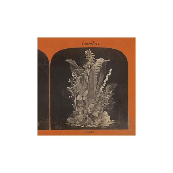 【発売日：2024年06月09日】ご注文後のキャンセル・返品は承れません。発売日:2024年06月09日/商品ID:6357138/ジャンル:WORLD/REGGAE/フォーマット:CD/構成数:1/レーベル:サンビーニャ・インポート/アー...