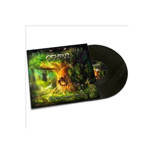 【発売日：2024年05月10日】ご注文後のキャンセル・返品は承れません。発売日:2024年05月10日/商品ID:6358015/ジャンル:ROCK/POP/フォーマット:LP/構成数:1/レーベル:Maldito/アーティスト:Celt...