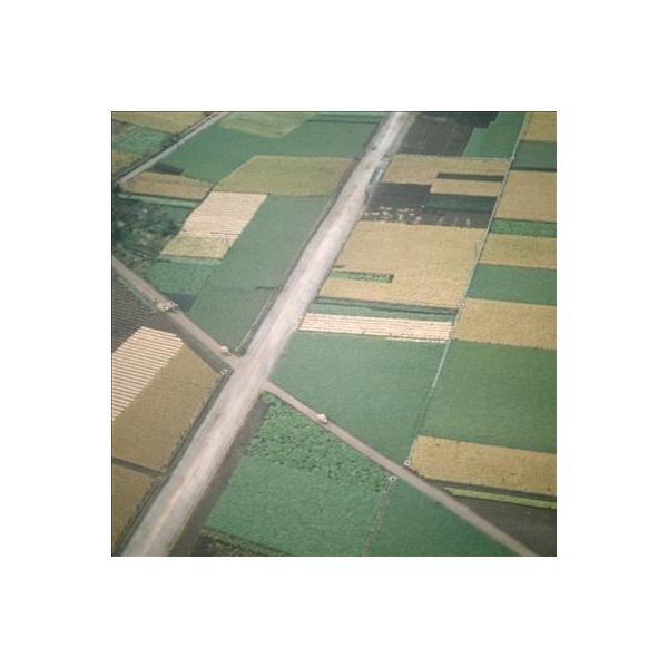 【発売日：2024年05月24日】ご注文後のキャンセル・返品は承れません。発売日:2024年05月24日/商品ID:6361353/ジャンル:JAZZ/フォーマット:LP/構成数:1/レーベル:Field/アーティスト:Celer/アーティ...