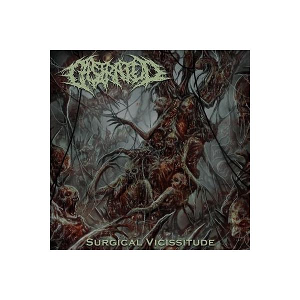 【発売日：2024年07月19日】ご注文後のキャンセル・返品は承れません。発売日:2024年07月19日/商品ID:6367734/ジャンル:ROCK/POP/フォーマット:CD/構成数:1/レーベル:Comatose Music/アーティ...