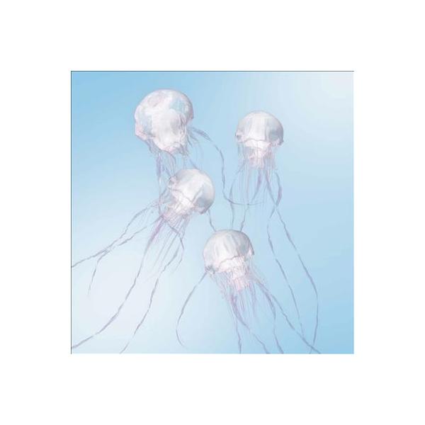 【発売日：2024年07月05日】ご注文後のキャンセル・返品は承れません。発売日:2024年07月05日/商品ID:6367900/ジャンル:J-POP/フォーマット:CD/構成数:1/レーベル:Jpu Records/アーティスト:SCA...