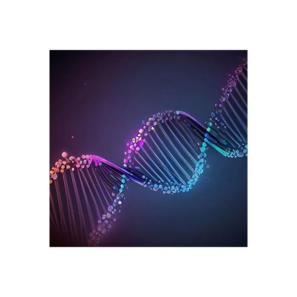 【発売日：2024年06月07日】ご注文後のキャンセル・返品は承れません。発売日:2024年06月07日/商品ID:6371352/ジャンル:ROCK/POP/フォーマット:CD/構成数:1/レーベル:John Holden Music/ア...