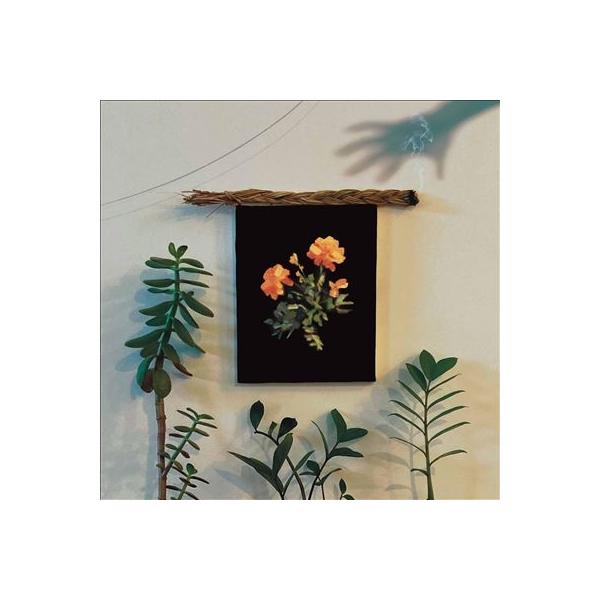 【発売日：2024年09月19日】ご注文後のキャンセル・返品は承れません。発売日:2024年09月19日/商品ID:6375006/ジャンル:ROCK/POP/フォーマット:CD/構成数:1/レーベル:Joyful Noise Record...