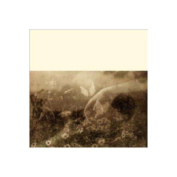 【発売日：2024年05月07日】ご注文後のキャンセル・返品は承れません。OLS70※こちらはアウトレットセール商品となります。パッケージ等に破損などダメージがある場合がございますが、外装不良による交換、返品はできかねますので予めご了承くだ...