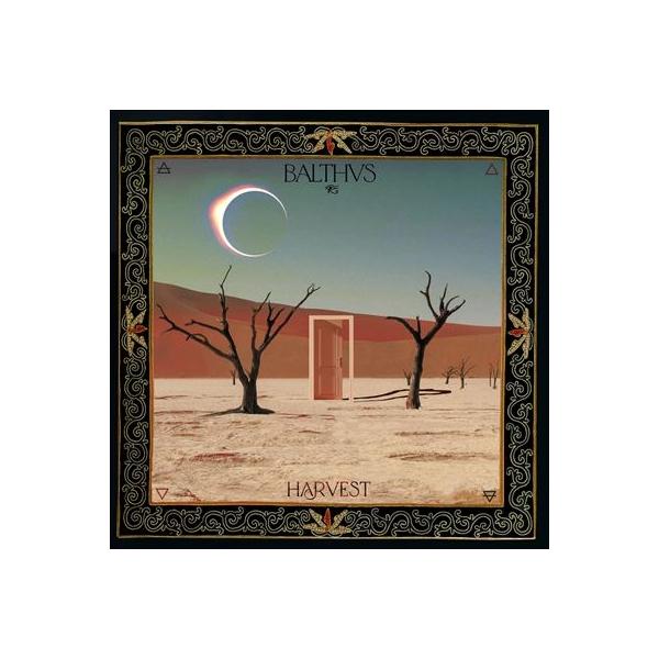 【発売日：2024年07月19日】ご注文後のキャンセル・返品は承れません。発売日:2024年07月19日/商品ID:6382926/ジャンル:ROCK/POP/フォーマット:LP/構成数:1/レーベル:Mixto Music/アーティスト:...