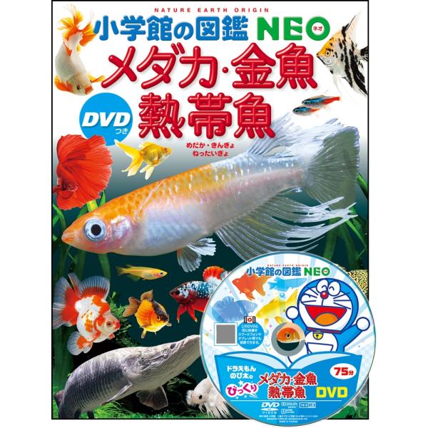【発売日：2024年06月25日】ご注文後のキャンセル・返品は承れません。発売日:2024年06月25日/商品ID:6385538/ジャンル:DOMESTIC BOOKS/フォーマット:Book/構成数:1/レーベル:小学館/アーティスト:...