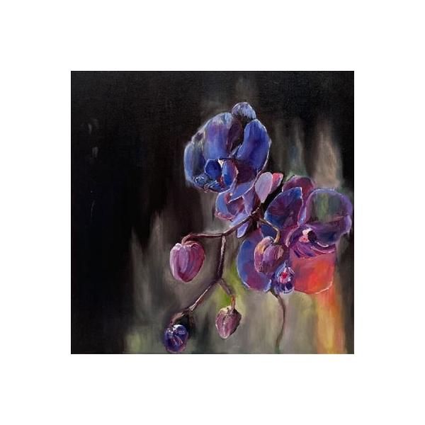 【発売日：2024年09月21日】ご注文後のキャンセル・返品は承れません。発売日:2024年09月21日/商品ID:6395715/ジャンル:ROCK/POP/フォーマット:LP/構成数:1/レーベル:Fire Talk/アーティスト:Wh...