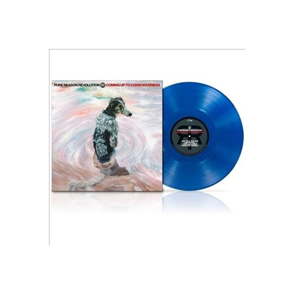 【発売日：2024年09月06日】ご注文後のキャンセル・返品は承れません。発売日:2024年09月06日/商品ID:6400695/ジャンル:ROCK/POP/フォーマット:LP/構成数:1/レーベル:Inside Out/アーティスト:P...