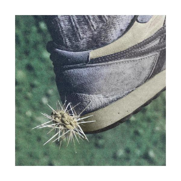 【発売日：2024年07月24日】ご注文後のキャンセル・返品は承れません。発売日:2024年07月24日/商品ID:6404397/ジャンル:SOUL/CLUB/RAP/フォーマット:CD/構成数:1/レーベル:Brainfeeder/アー...