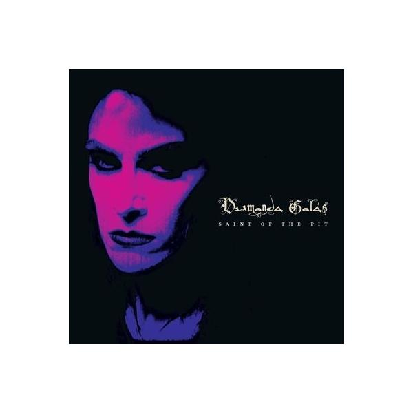 【発売日：2024年09月13日】ご注文後のキャンセル・返品は承れません。発売日:2024年09月13日/商品ID:6414185/ジャンル:ROCK/POP/フォーマット:CD/構成数:1/レーベル:Intravenal Sound Op...