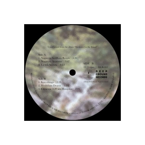 【発売日：2024年11月03日】ご注文後のキャンセル・返品は承れません。発売日:2024年11月03日/商品ID:6422626/ジャンル:J-POP/フォーマット:LP/構成数:1/レーベル:DEEP GROUND RECORDS/アー...