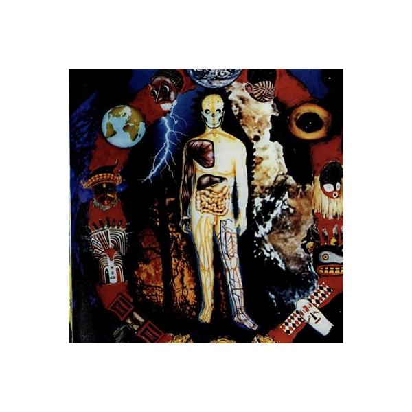 【発売日：2024年09月19日】ご注文後のキャンセル・返品は承れません。発売日:2024年09月19日/商品ID:6423697/ジャンル:ROCK/POP/フォーマット:LP/構成数:2/レーベル:Experimental / Ambi...