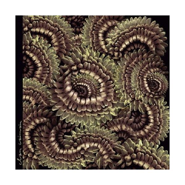 【発売日：2024年09月27日】ご注文後のキャンセル・返品は承れません。発売日:2024年09月27日/商品ID:6426881/ジャンル:ROCK/POP/フォーマット:CD/構成数:1/レーベル:EM RECORDS/アーティスト:C...