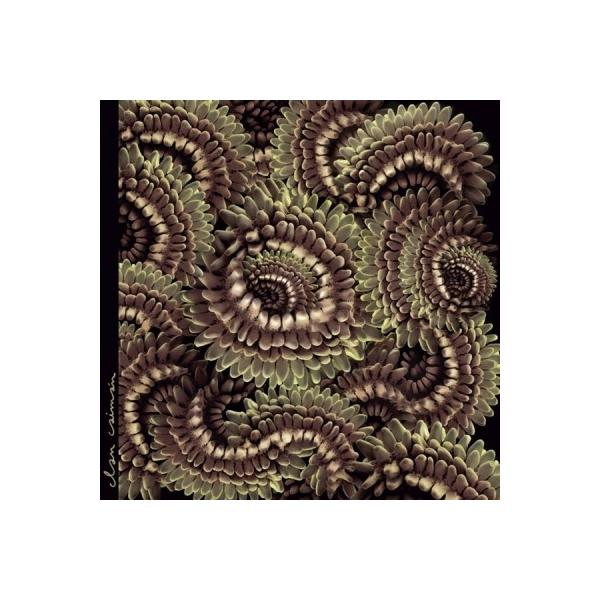 【発売日：2024年09月27日】ご注文後のキャンセル・返品は承れません。発売日:2024年09月27日/商品ID:6426883/ジャンル:ROCK/POP/フォーマット:LP/構成数:1/レーベル:EM RECORDS/アーティスト:C...