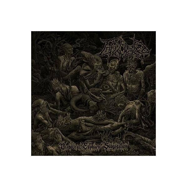 【発売日：2024年10月04日】ご注文後のキャンセル・返品は承れません。発売日:2024年10月04日/商品ID:6427492/ジャンル:ROCK/POP/フォーマット:CD/構成数:1/レーベル:New Standard Elite/...