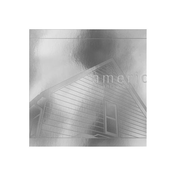 【発売日：2024年10月18日】ご注文後のキャンセル・返品は承れません。発売日:2024年10月18日/商品ID:6429019/ジャンル:ROCK/POP/フォーマット:LP/構成数:2/レーベル:Polyvinyl/アーティスト:Am...