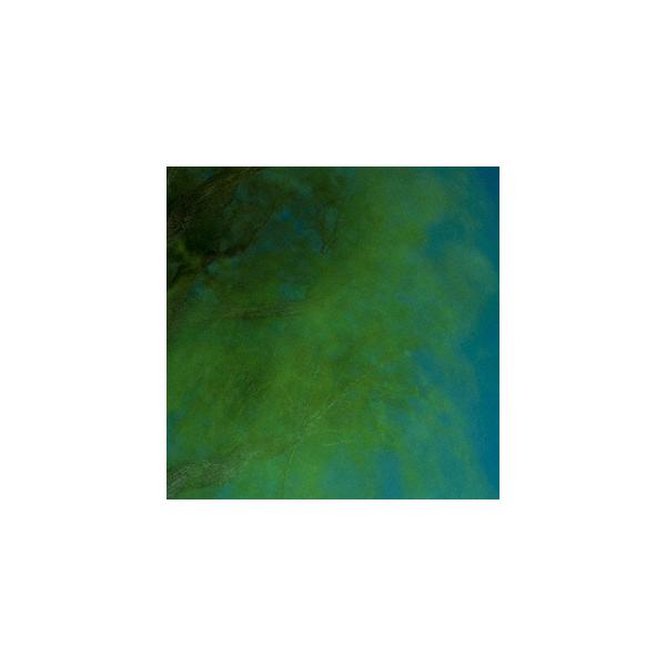 【発売日：2024年09月27日】ご注文後のキャンセル・返品は承れません。発売日:2024年09月27日/商品ID:6431549/ジャンル:JAZZ/フォーマット:CD/構成数:1/レーベル:KITCHEN LABEL/アーティスト:Hi...