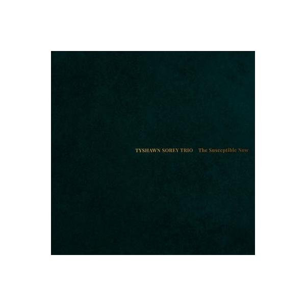 【発売日：2024年10月11日】ご注文後のキャンセル・返品は承れません。発売日:2024年10月11日/商品ID:6435640/ジャンル:JAZZ/フォーマット:CD/構成数:1/レーベル:Pi Recordings/アーティスト:Ty...