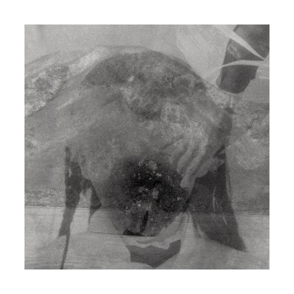 【発売日：2024年09月13日】ご注文後のキャンセル・返品は承れません。発売日:2024年09月13日/商品ID:6439913/ジャンル:J-POP/フォーマット:12cmCD Single/構成数:1/レーベル:flau/アーティスト...