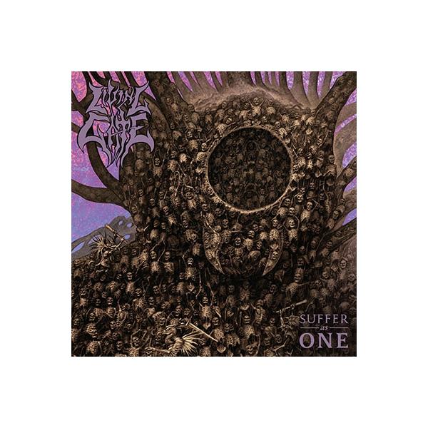 【発売日：2024年10月25日】ご注文後のキャンセル・返品は承れません。OLS50※こちらはアウトレットセール商品となります。パッケージ等に破損などダメージがある場合がございますが、外装不良による交換、返品はできかねますので予めご了承くだ...